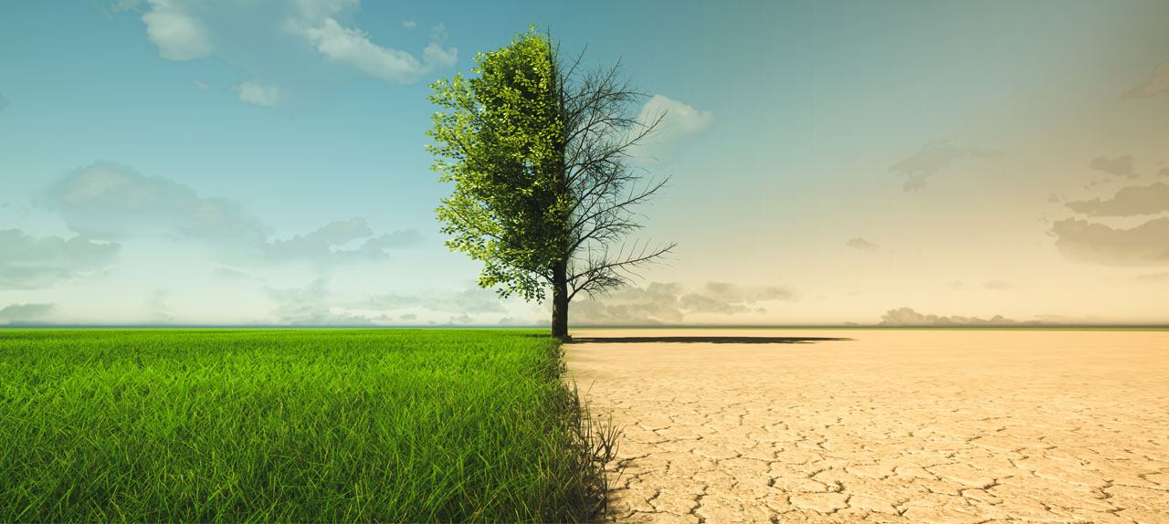 Urgent action required on climate change impact reports Urgent action required on climate change impact reports