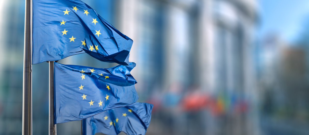 The Upcoming EU CSDDD Regulation: What You Need to Know